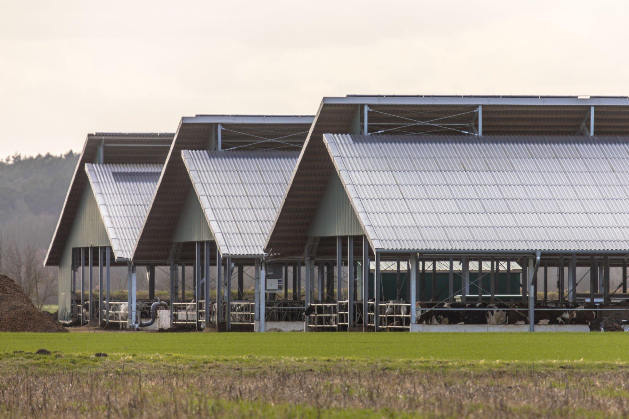 Farm Metal Buildings: Advantages and Uses • Pacesetter Construction